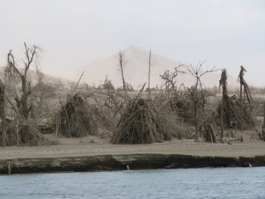 2020 Laurel Evacuation Sites - ACADEMY OF WORLD HEALING BLOG